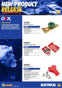 OEX Battery Terminals | NAPA
