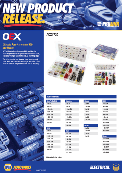 OEX Ultimate Fuse Assortment Kit | NAPA